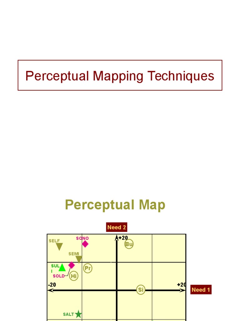 Perceptual Mapping Techniques | PDF | Anheuser Busch Brands | Insurance