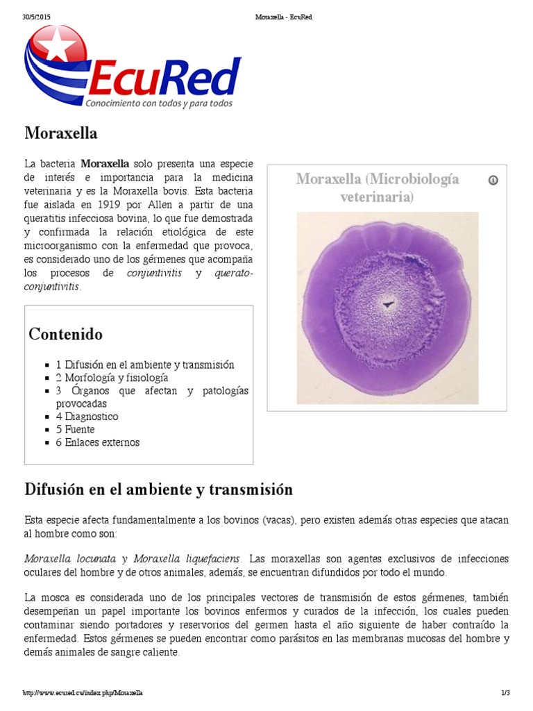 Moraxella - EcuRed | PDF | Infección | Vacas