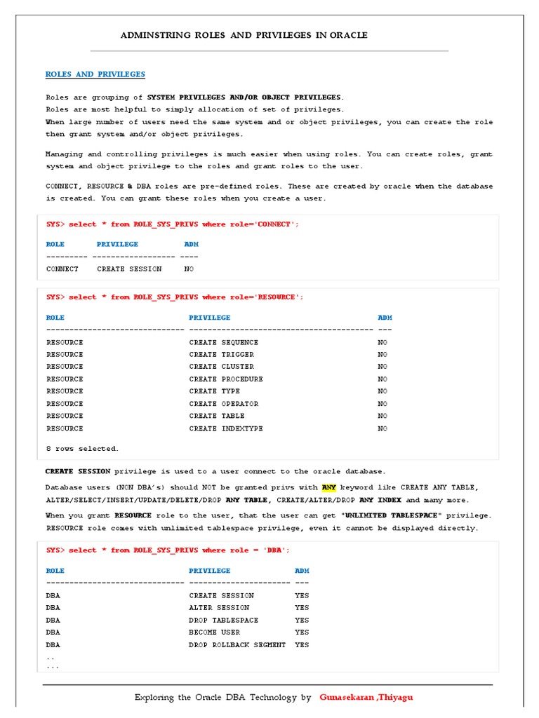 List Of Roles And Privileges In Oracle Fusion - Printable Forms Free Online