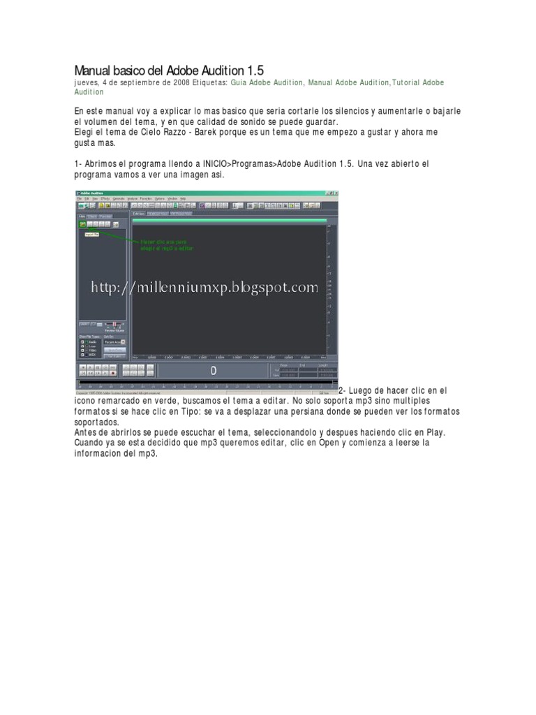 Manual Basico Del Adobe Audition 1.5 | PDF | Mp3 | Point and Click