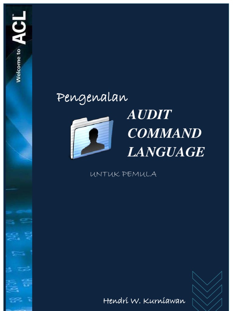 Audit Command Language-ACL | PDF