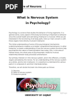 Neuron Structure and Functions | PDF | Neuron | Axon