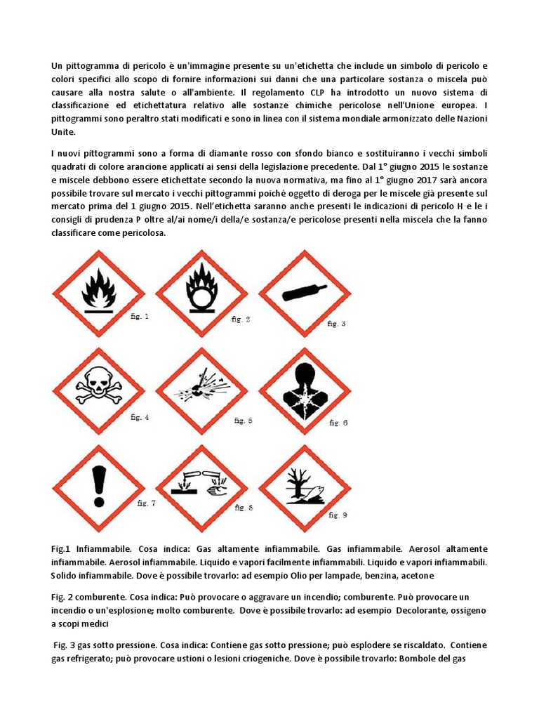 Pittogrammi Di Pericolo | PDF