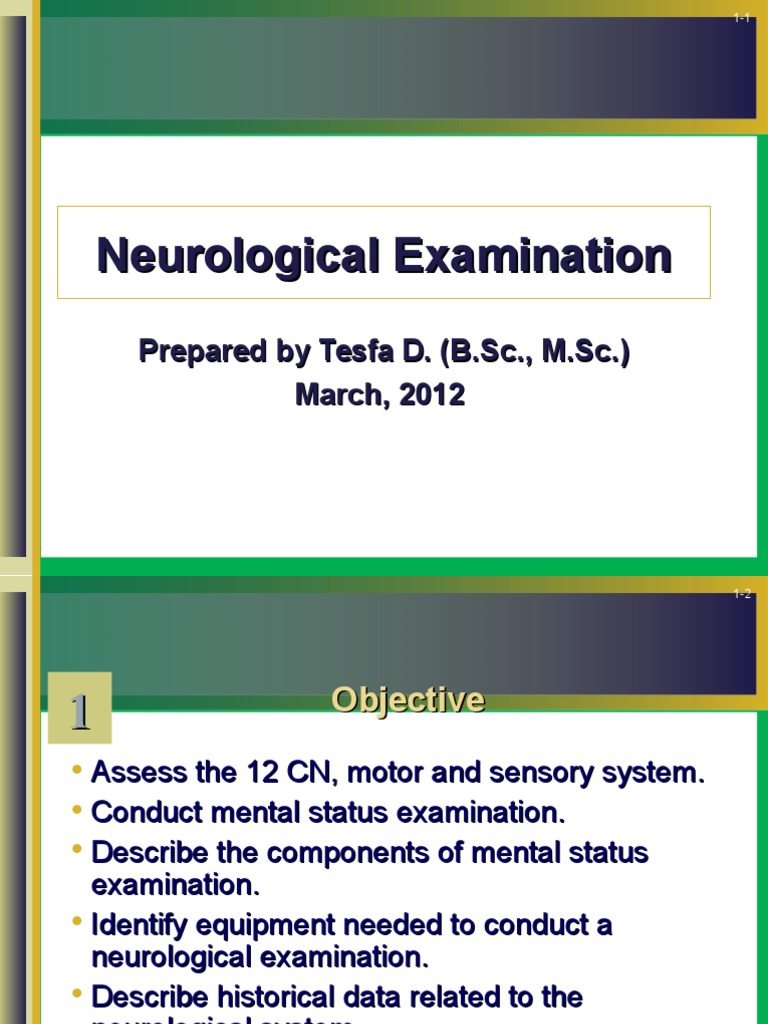 Neurological Examination Overview | PDF | Spinal Cord | Cerebrum