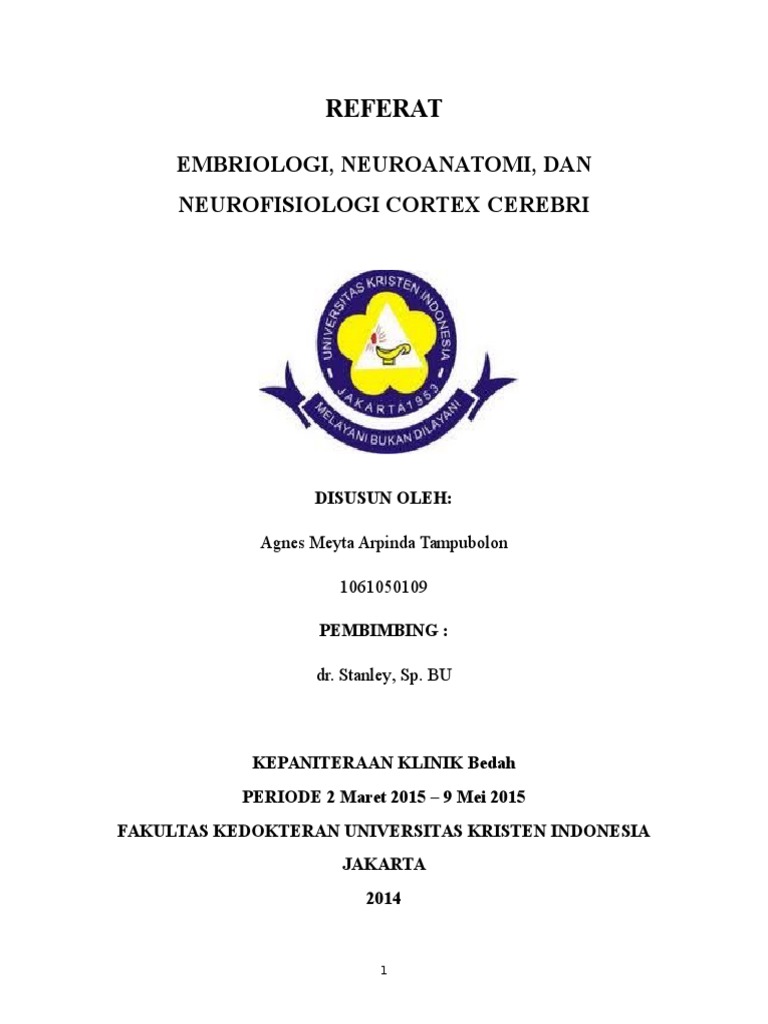 Korteks Serebri | PDF