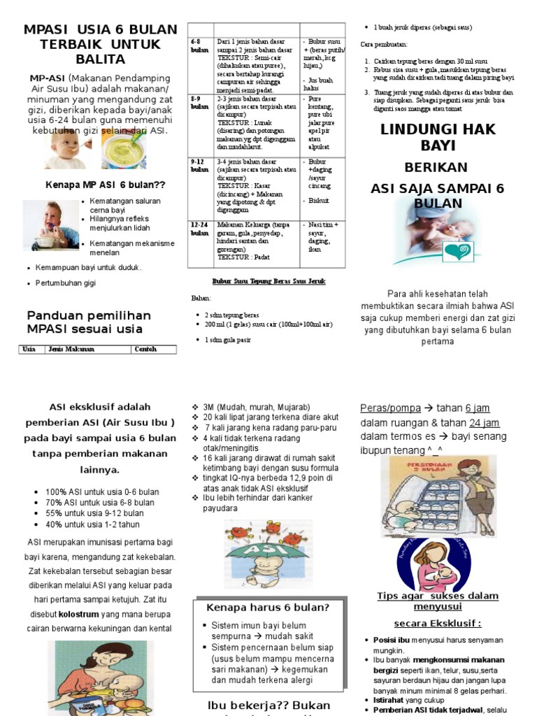 Leaflet Asi & Mpasi | PDF