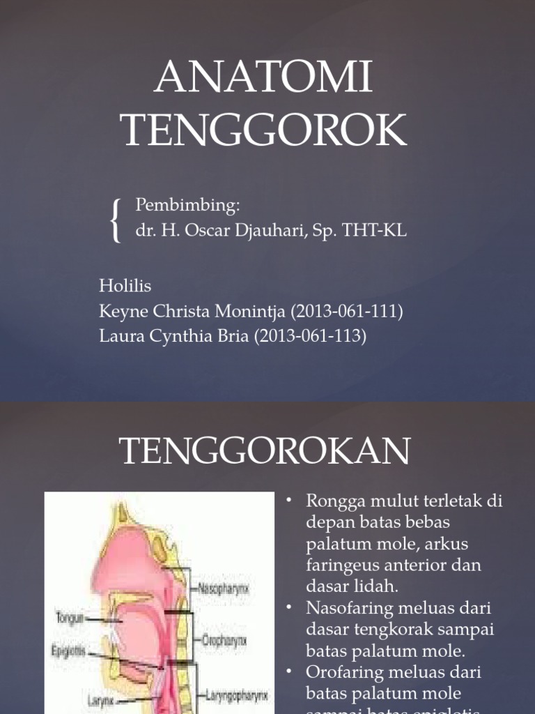 Anatomi Tenggorokan dan Mulut | PDF