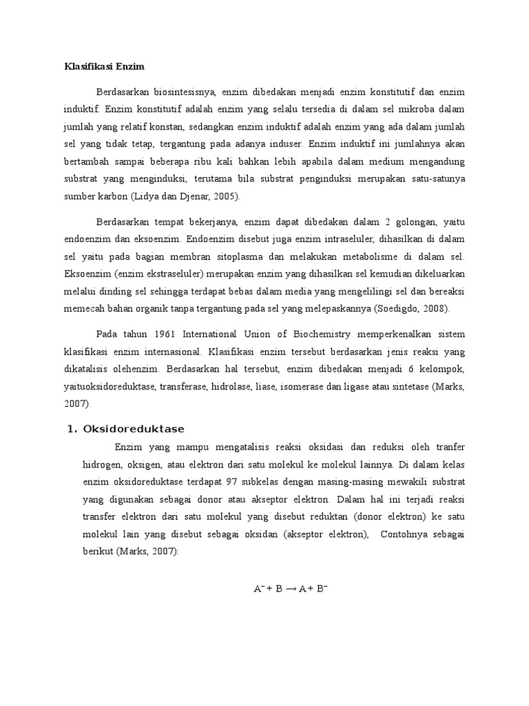 Klasifikasi Enzim | PDF