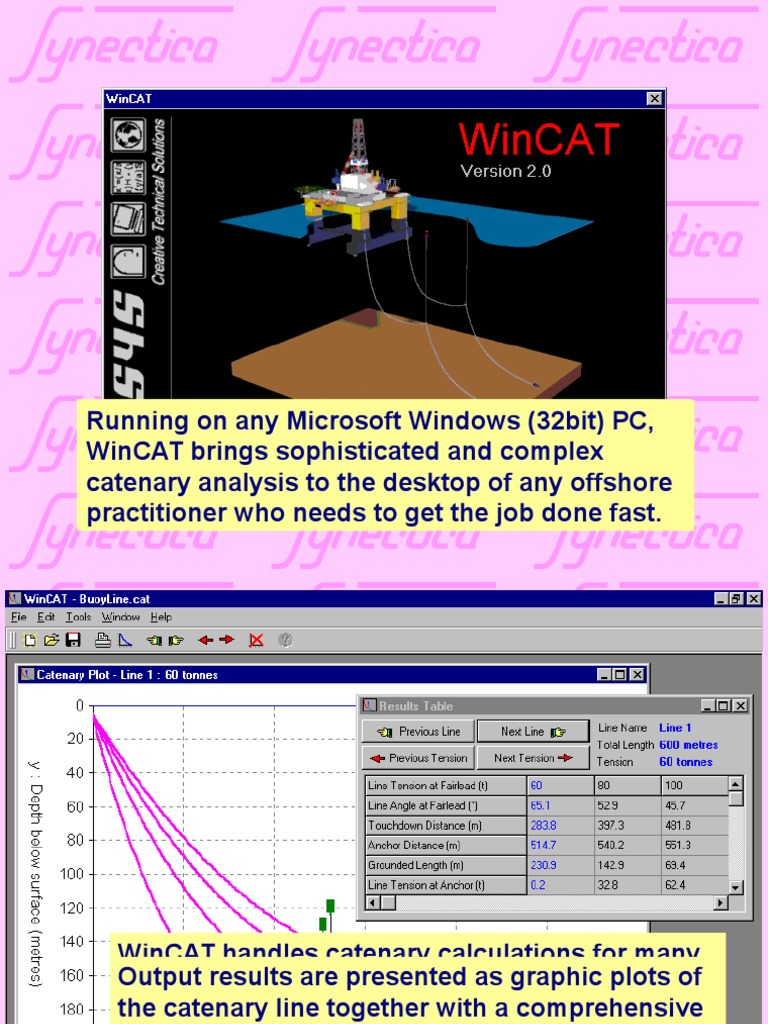 Win Cat 2 | PDF | Databases | Microsoft Excel