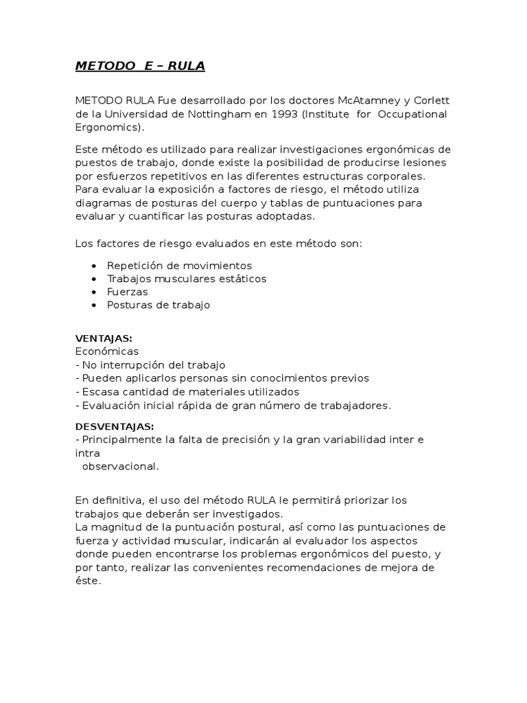 Metodo E-Rula | PDF | Factores humanos y ergonomía | Informática