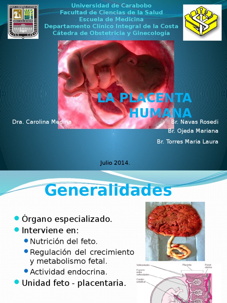 Placenta Humana | PDF | Placenta | Reproducción