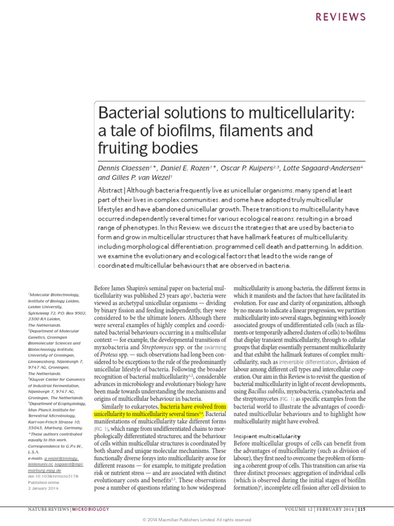Bacterial Solutions To Multicellularity: A Tale of Biofilms, Filaments ...