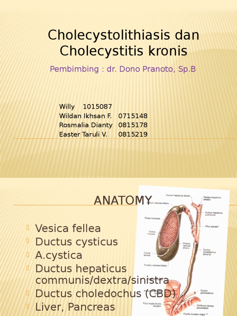 Cholecystolithiasis Dan Cholecystitis Kronis | PDF | Kesehatan Holistik