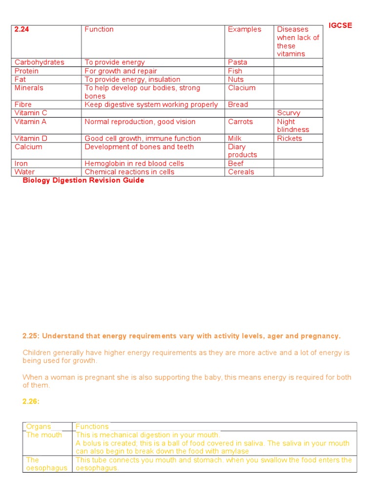 Igcse Biology Digestion Revision Guide | PDF | Digestion | Digestive System