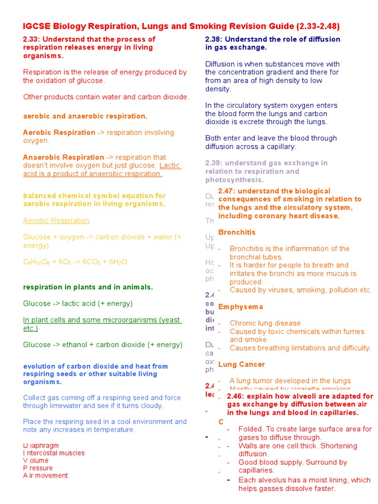IGCSE Biology: Respiration and Lungs Guide | PDF | Cellular Respiration ...