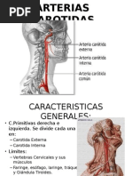 Celda Parotídea y Glandula Parotida RESUMEN | PDF ...