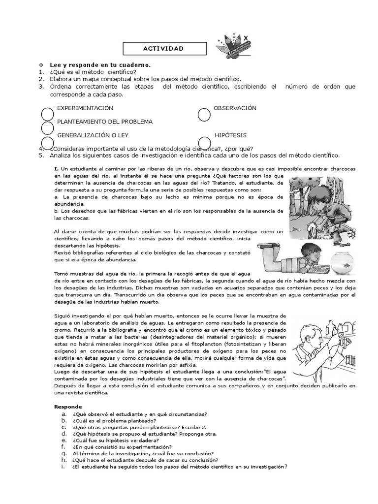 ACTIVIDAD Grado Sexto Metodo Cientifico | PDF | Método científico ...