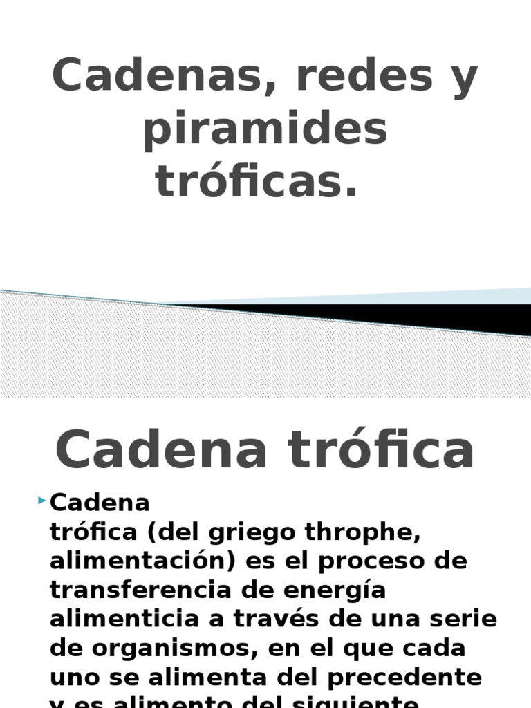 Cadenas y pirámides tróficas explicadas | PDF | Ciencia medioambiental ...