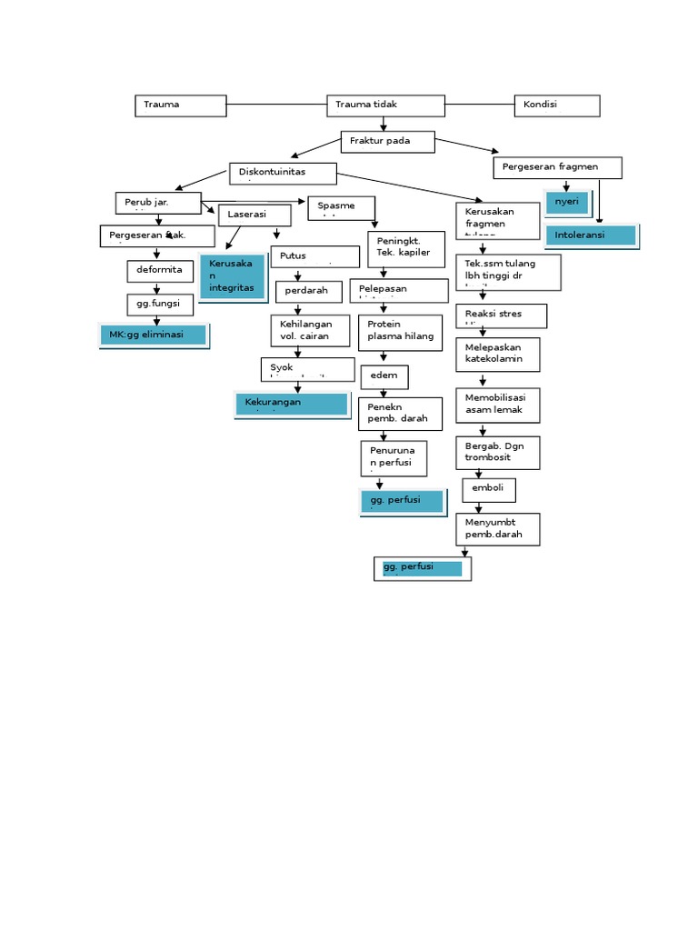 WOC Fraktur Pelvis | PDF