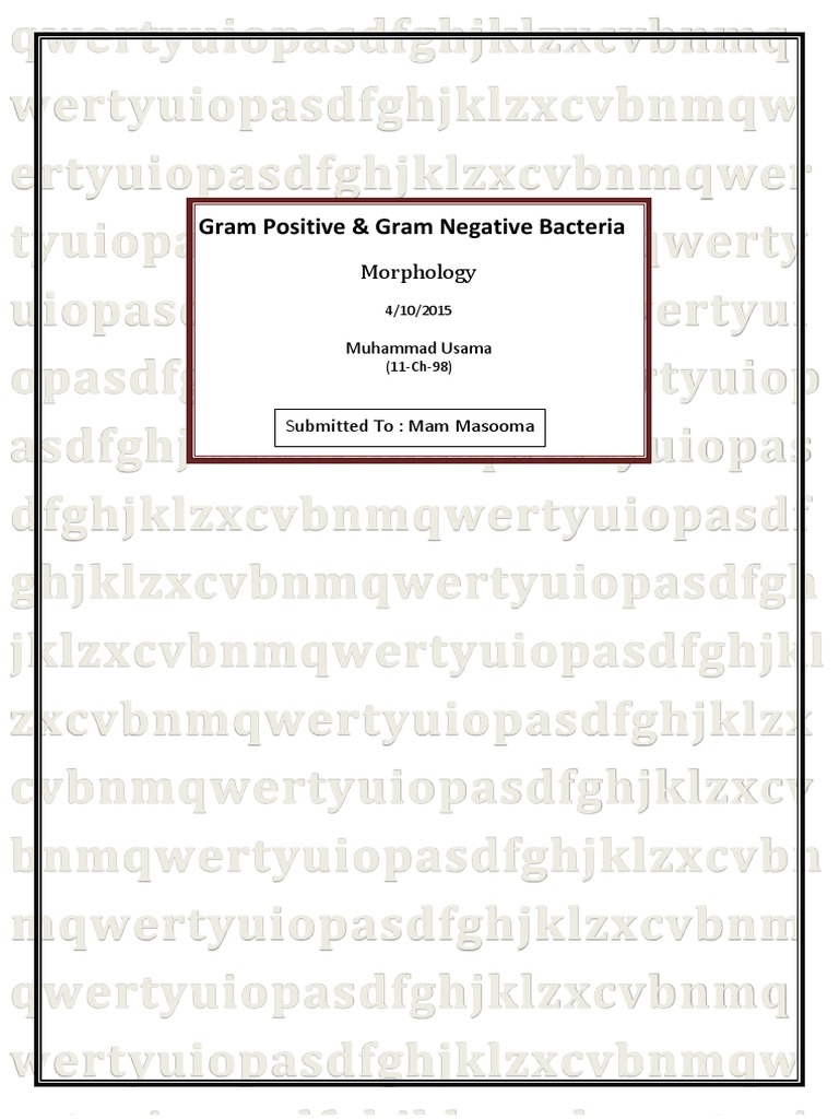 Summary of Morphology of Gram Positive and Negative Bacteria | PDF ...