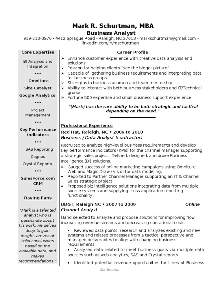 Mark Schurtman Resume 1 2010 BI Matrix | PDF | Marketing | Search ...