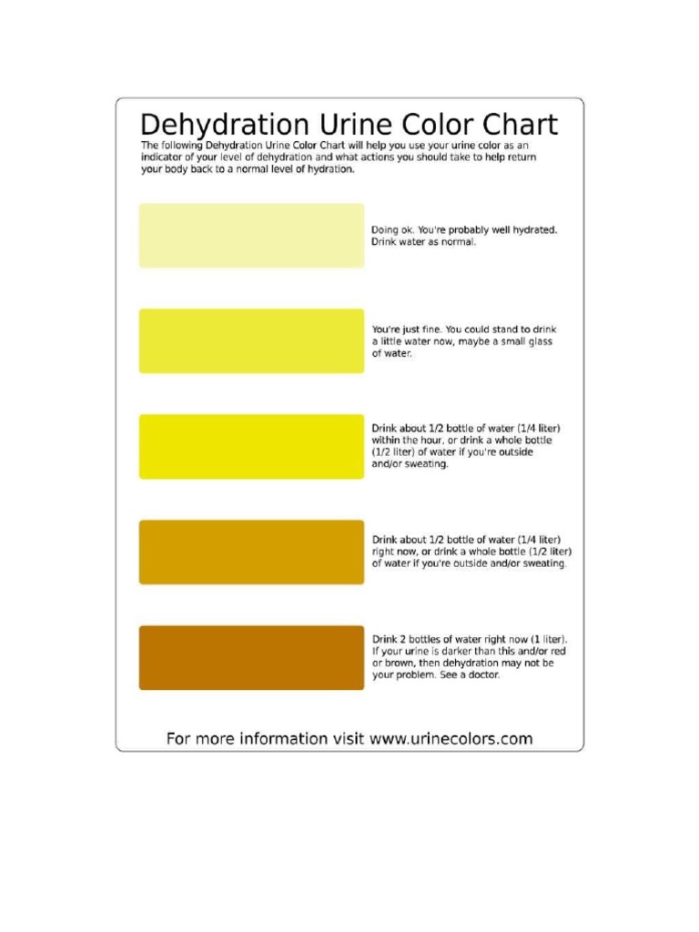 Hydration Chart | PDF