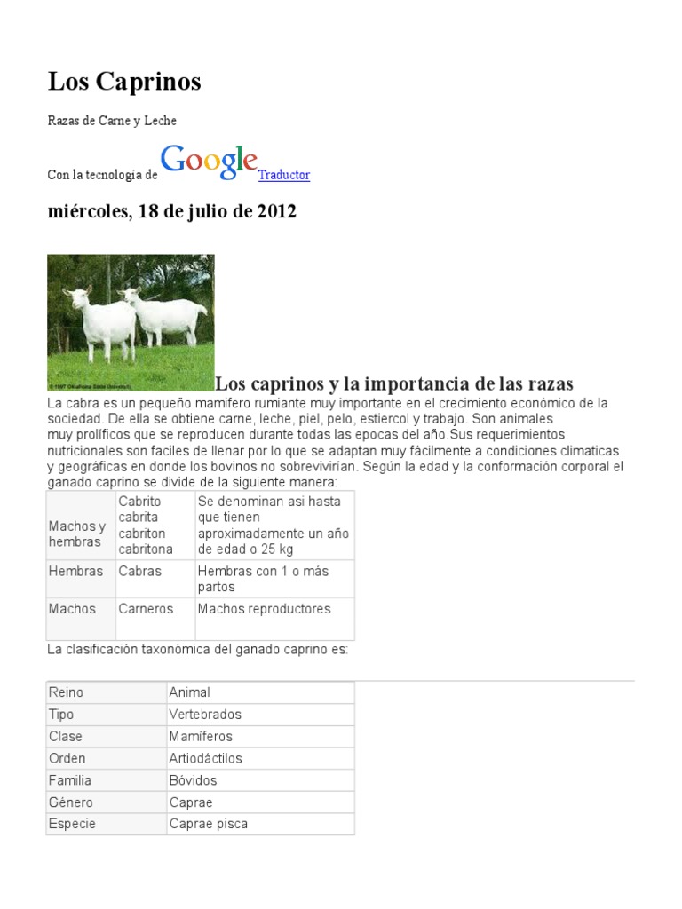 Los Caprinos | PDF | Cabra | Oveja