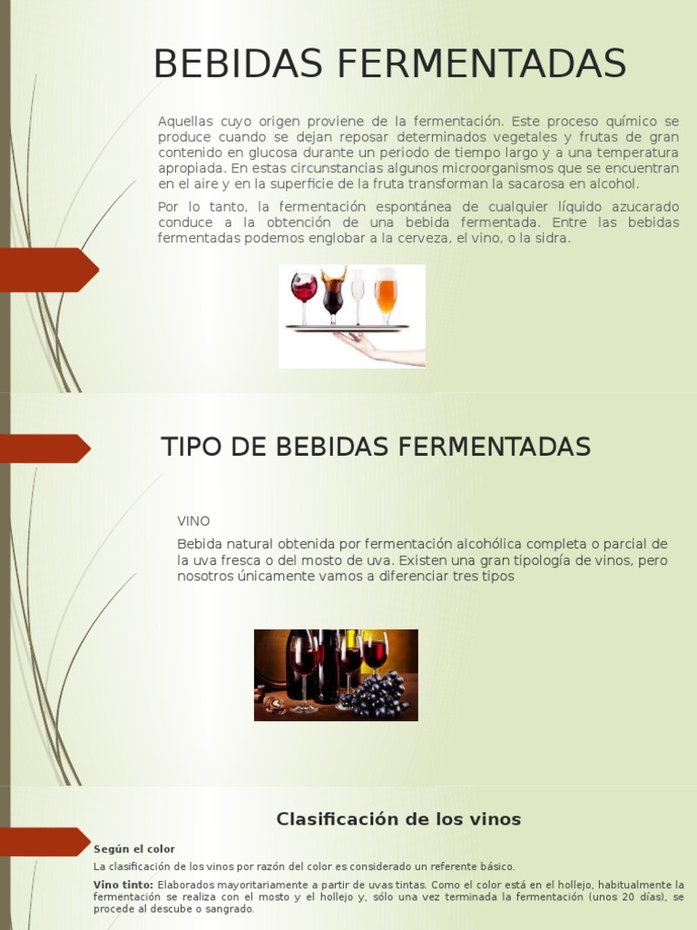 BEBIDAS FERMENTADAS | Vino | Cerveza