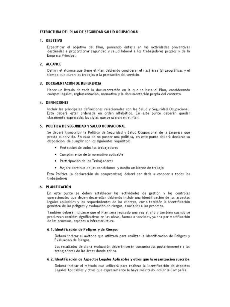 Estructura Plan Sso PDF | PDF | La seguridad | Planificación