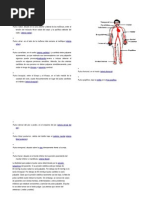 Ubicación del pulso cubital | PDF