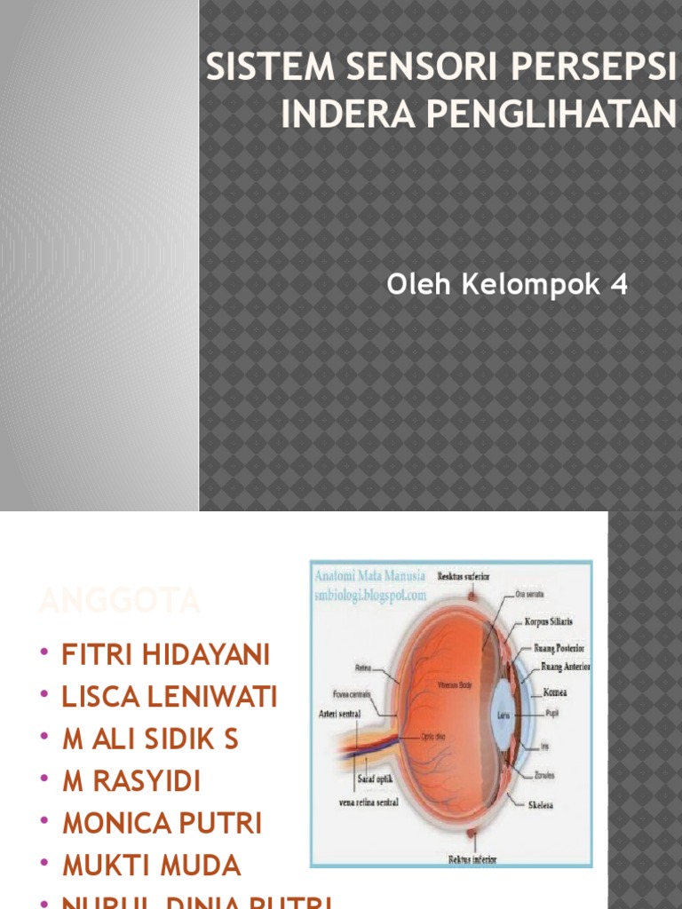 Sistem Sensori Persepsi | PDF