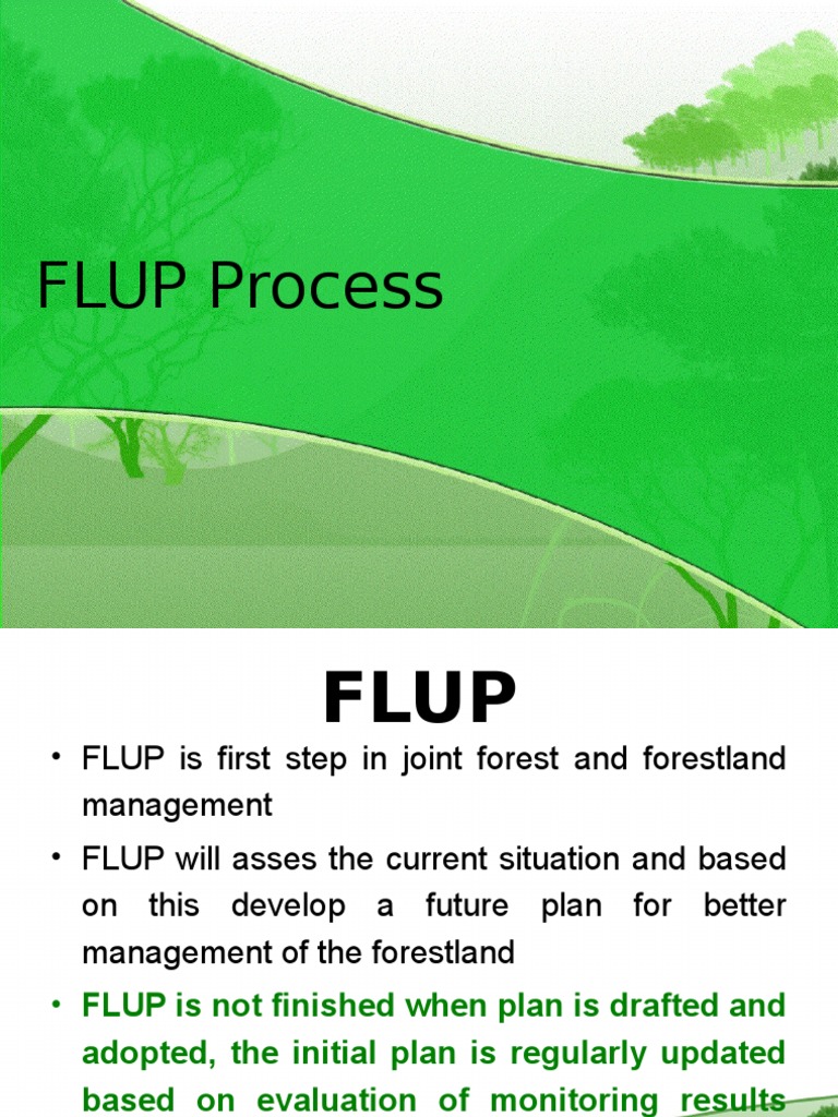 Module 1. - FLUP Process - Jan28 2013 | PDF | Strategic Planning ...