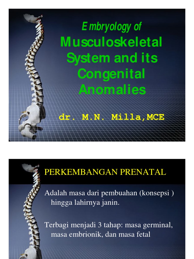 Embryology of the Musculoskeletal System and its Congenital Anomalies | PDF