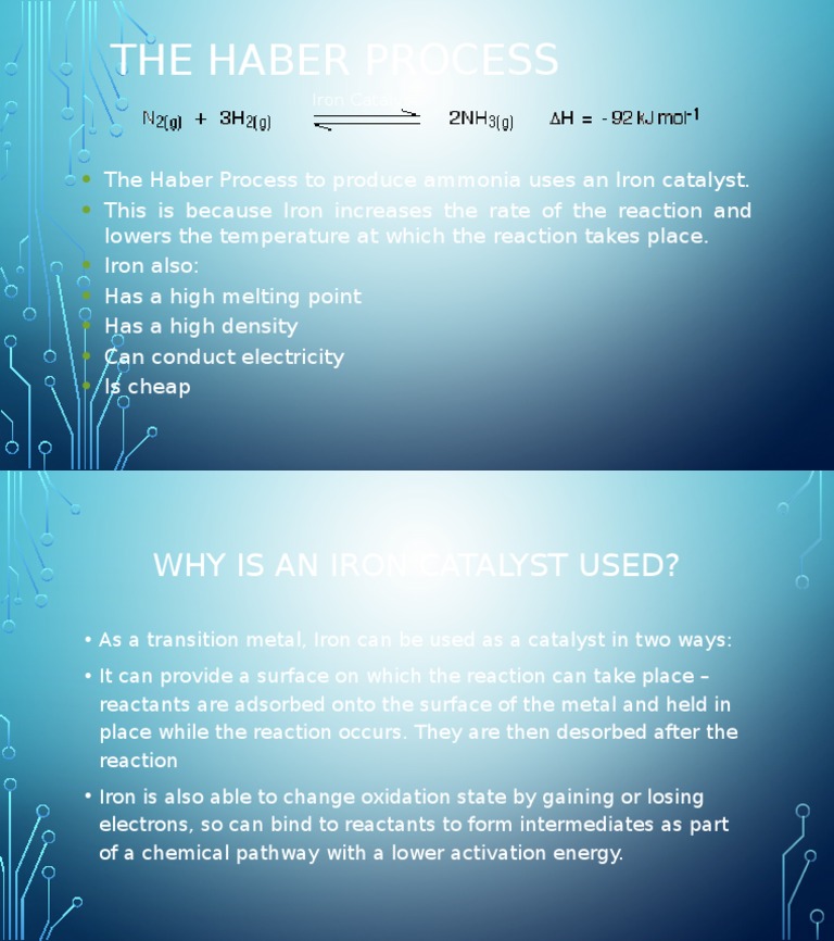 The Haber Process | PDF | Catalysis | Chemical Reactions