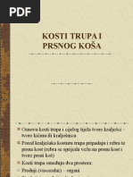 Ispitna Pitanja Iz Anatomije Odgovori | PDF