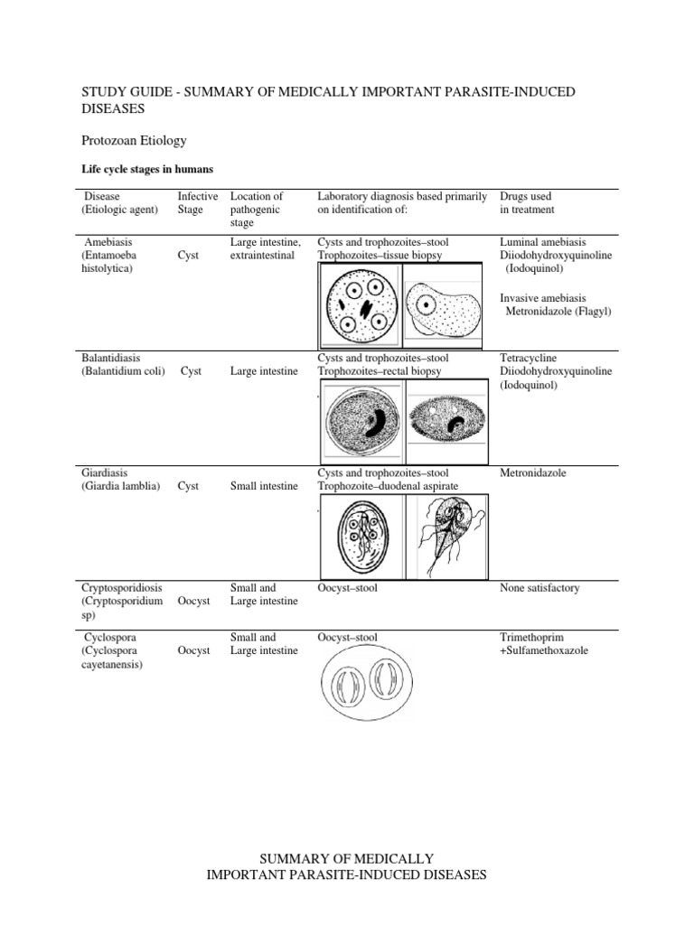Parasitology Summary | Veterinary Medicine | Parasites