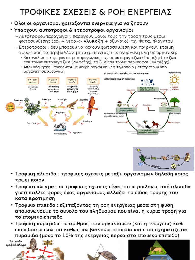 βιολογια β γυμνασιου | PDF