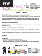 Cleaning Company Profile Template | PDF