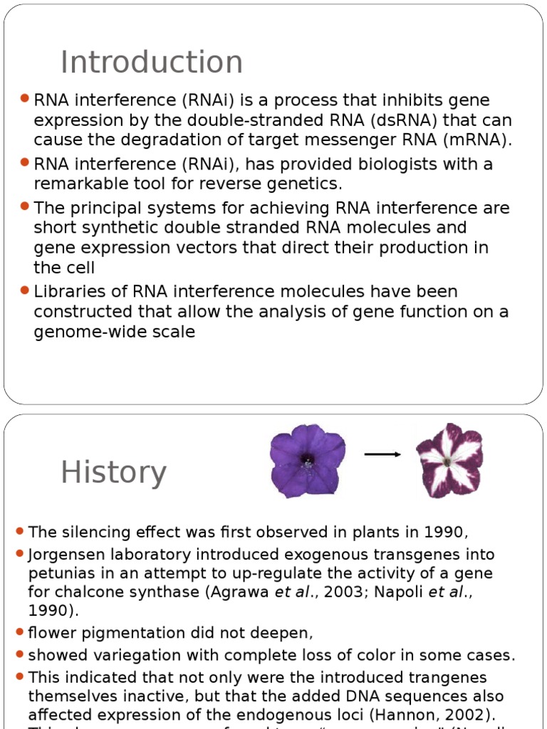 RNAi: Revolutionizing Plant Genetics | PDF | Rna Interference | Sense ...