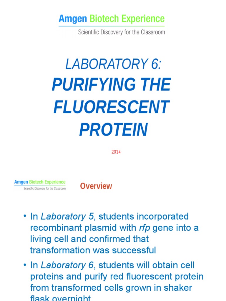 Abe Lab 6 Protein Purification Pdf Lysis Protein Purification
