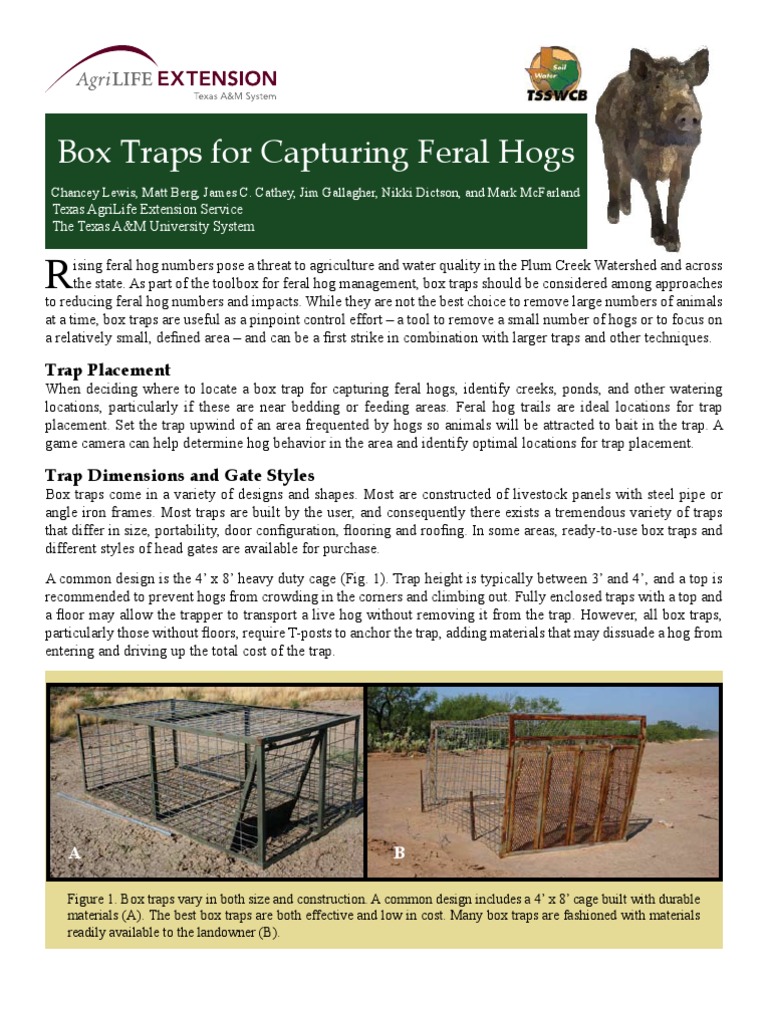 Box Traps For Capturing Feral Hogs | PDF | Trapping | Domestic Pig
