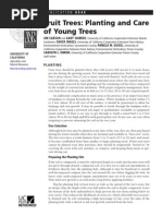 Tree Plantation Project | PDF