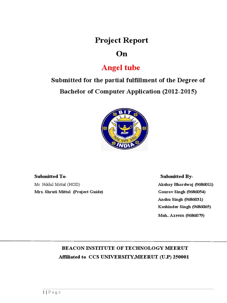 Final Report File Pdf Constructor Object Oriented Programming Programming 3285