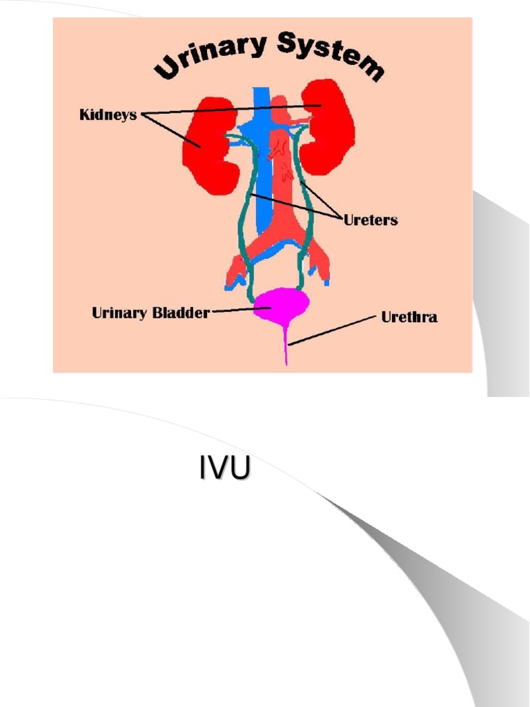IVP.ppt | Kidney | Urology