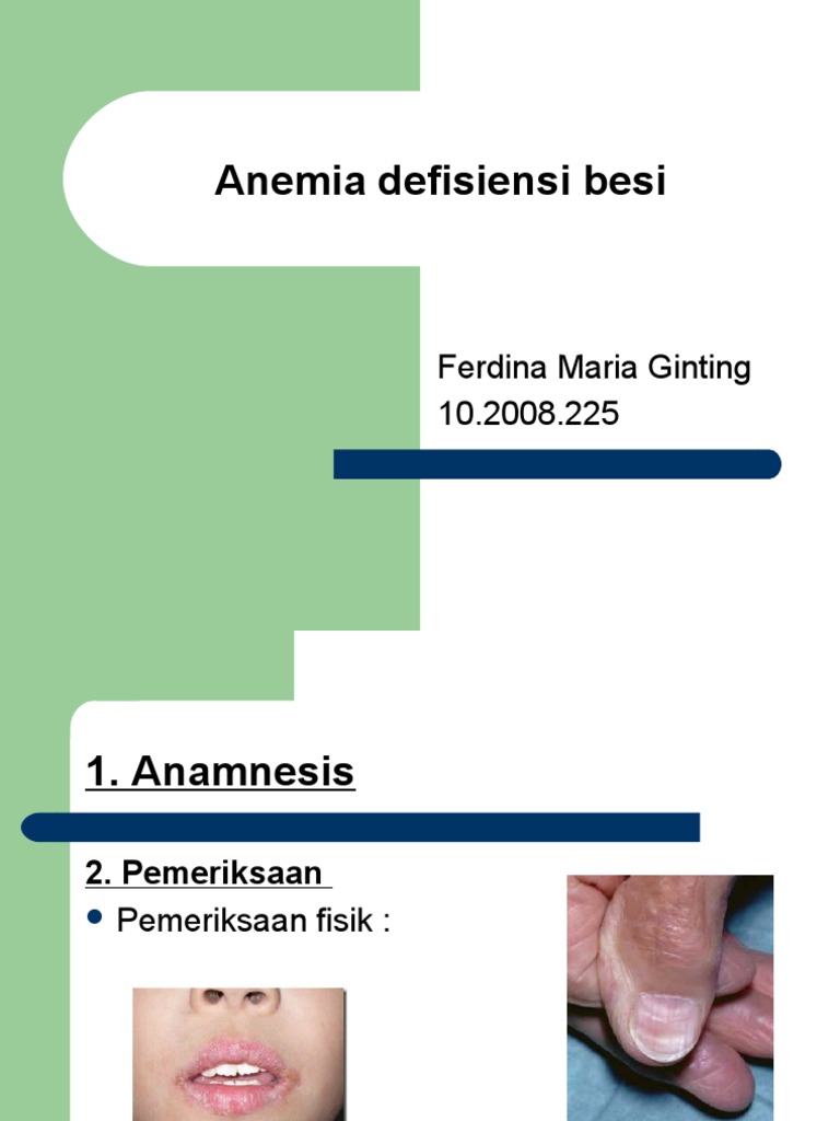 Anemia Defisiensi Besi | PDF