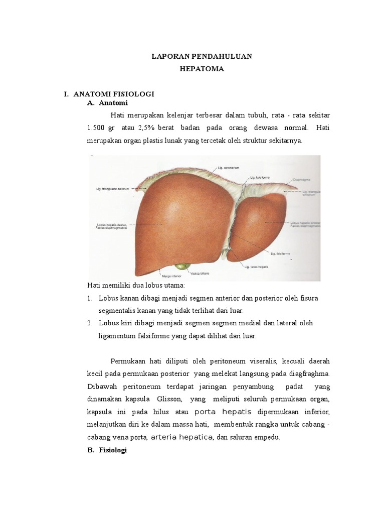 Pemahaman Karsinoma Hepatoseluler | PDF | Kesehatan Holistik