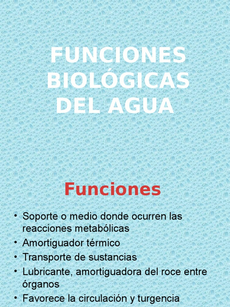 Funciones Biológicas Del Agua | PDF