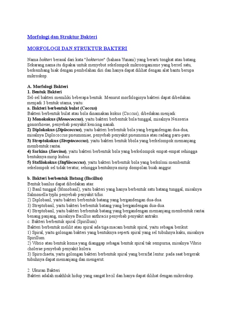 Morfologi Dan Struktur Bakteri | PDF