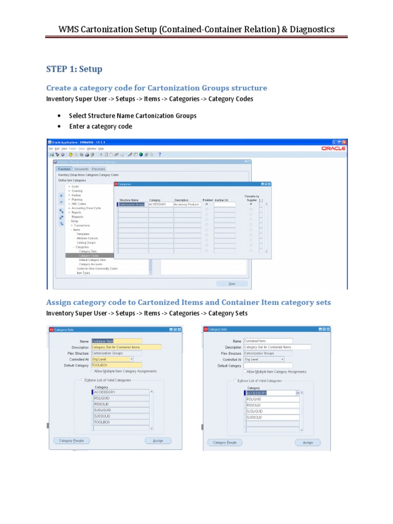 WMS Cartonization Setup Guide | PDF | Warehouse | Logistics