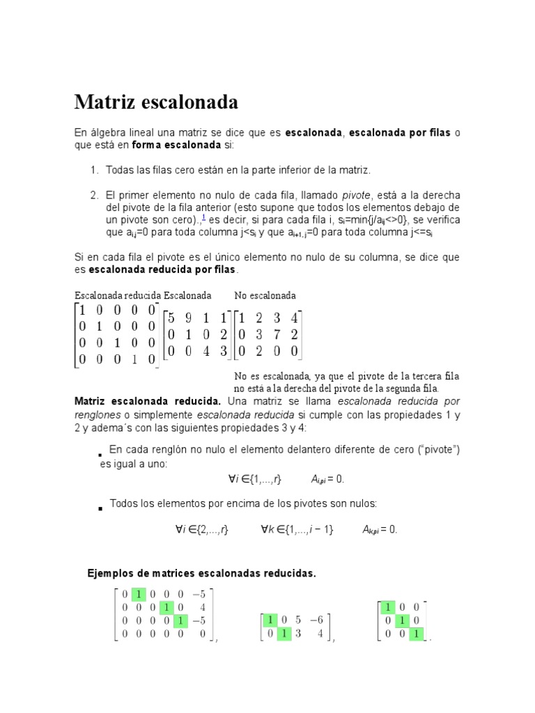 Matriz Escalonada | Descargar gratis PDF | Algoritmos | Análisis numérico